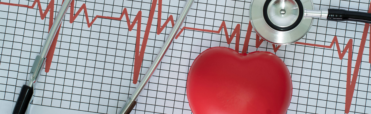Probo Cardiology | Cardiovascular Ultrasound & Diagnostic Equipment