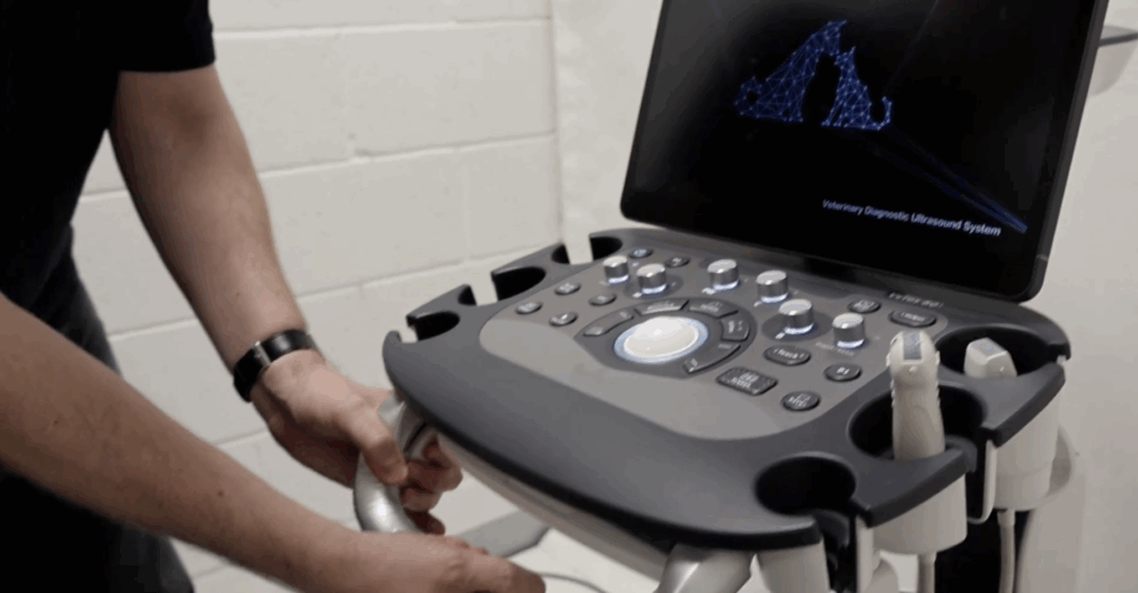 A Walkthrough of the Mindray Vetus 80 Veterinary Ultrasound System ...